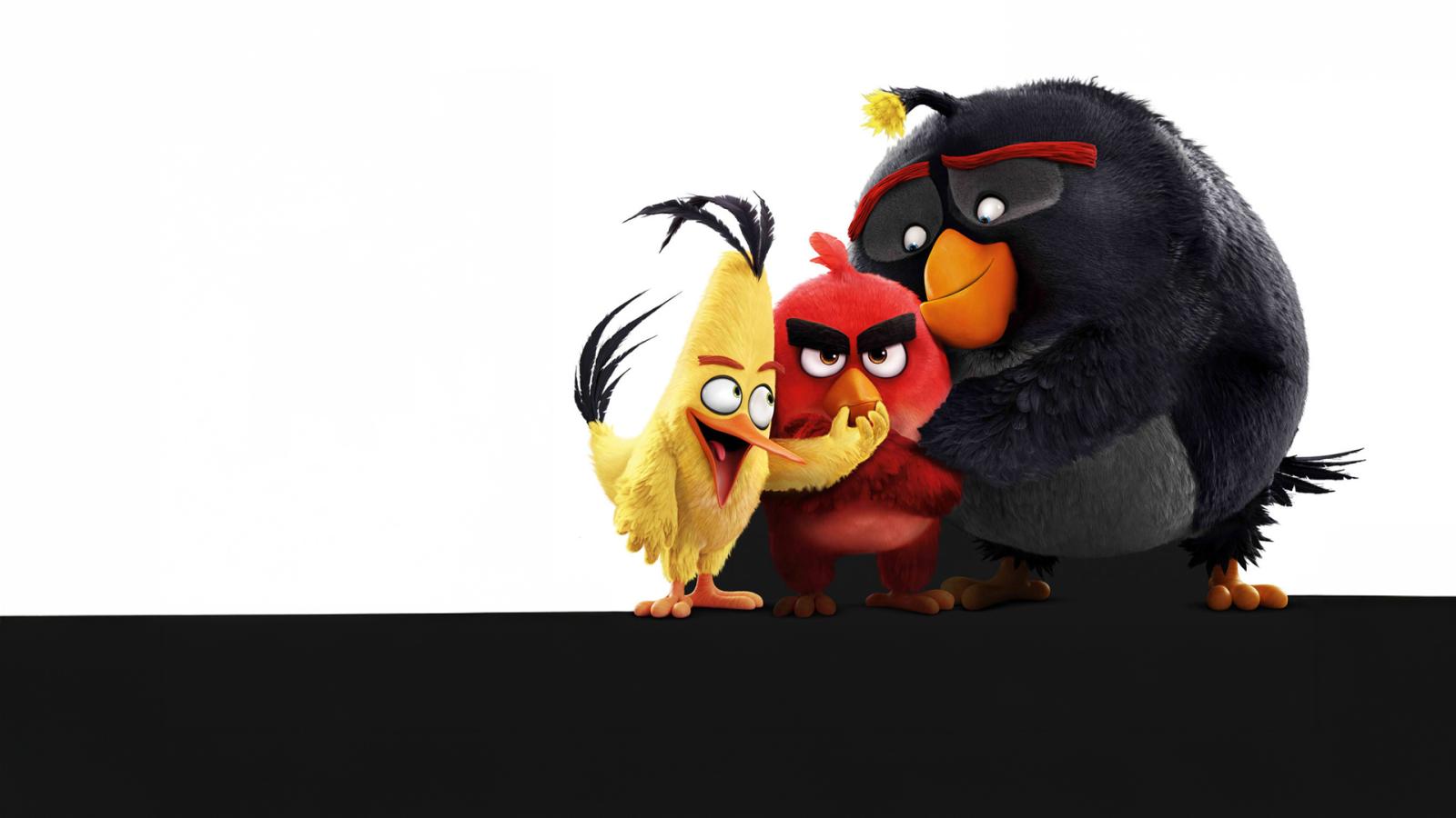 Angry Birds Hd Picture - Infoupdate.org