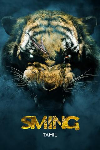 Streamify - Premium Mobile Streaming